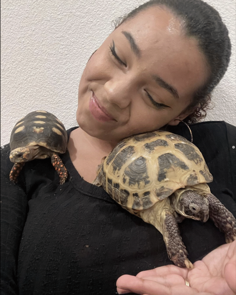 From Experiencing Homelessness to a Solid Future - Learn4Life